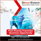 PCD Pharma Franchise in Punjab | PCD Franchise Company in Punjab